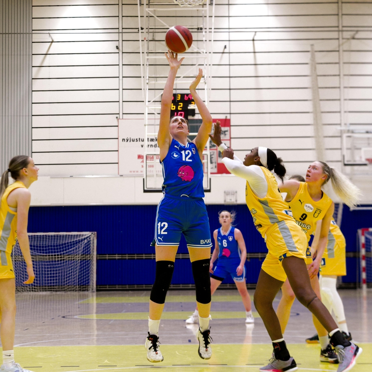 Carlotta Ellenrieder - Dagger Basketball Agency